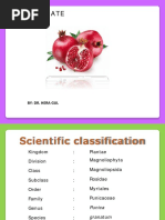 RHS Colour Charts Editions PDF | PDF | Color | Graphic Design