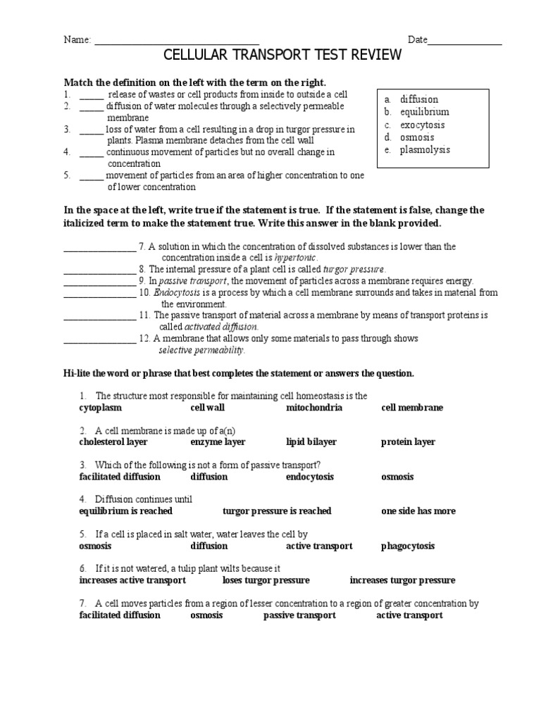 Cellular Transport Unit Test Review | PDF | Cell Membrane | Osmosis