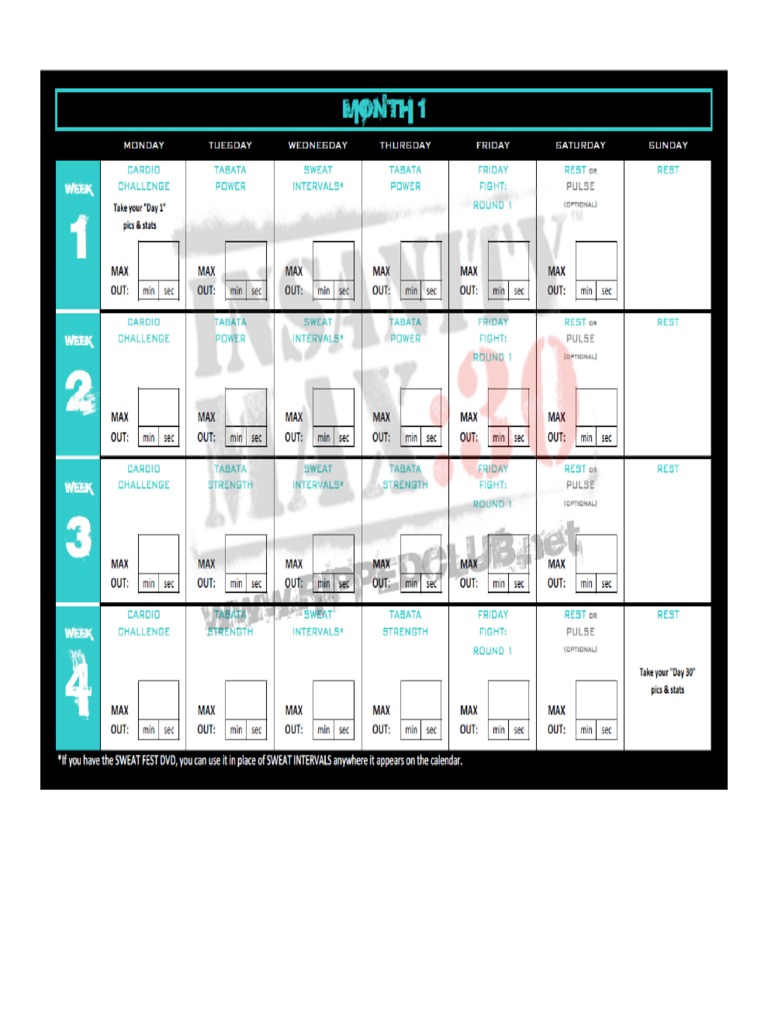 Insanity Max30 Workout Schedule Month 1 | PDF