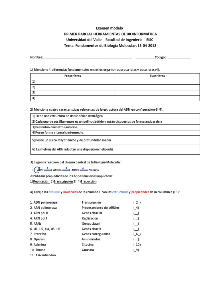 Examen Modelo Herramientas de Bioinformatica | PDF | Adn | Rna