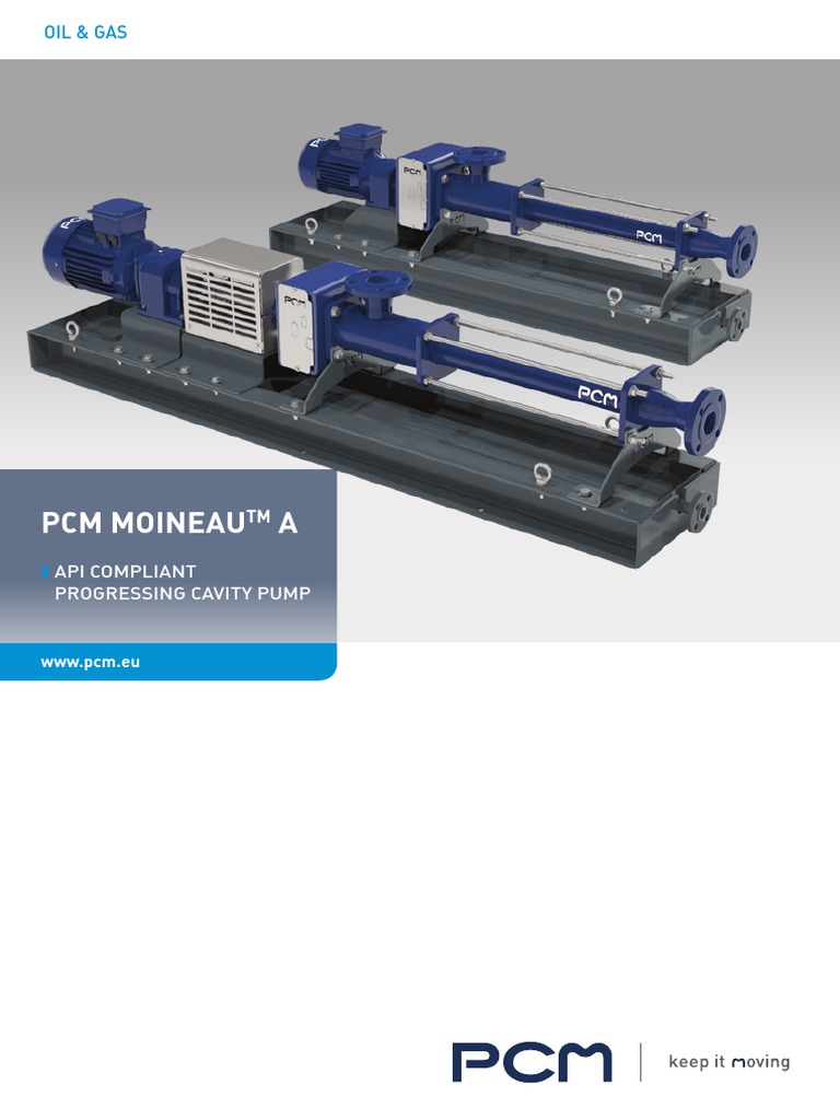 PCM Moineau A: Api Compliant Progressing Cavity Pump | PDF | Pump ...