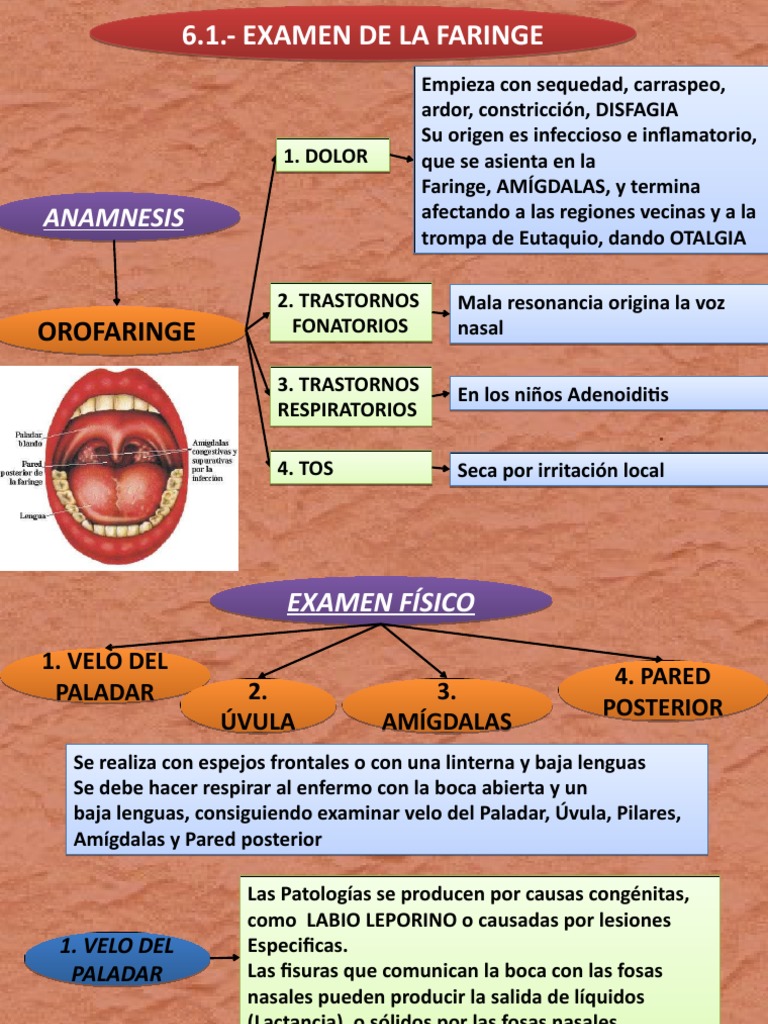 Examen de La Faringe y Laringe | PDF | Tos | Medicina