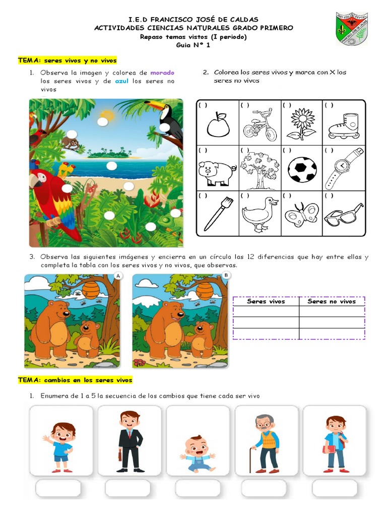 Cambios en Seres Vivos para Primer Grado | PDF | Plantas | Organismos