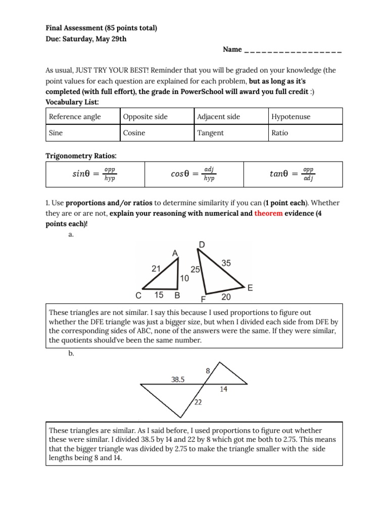 Lily Tran - Formal Assessment | PDF | Trigonometric Functions | Sine