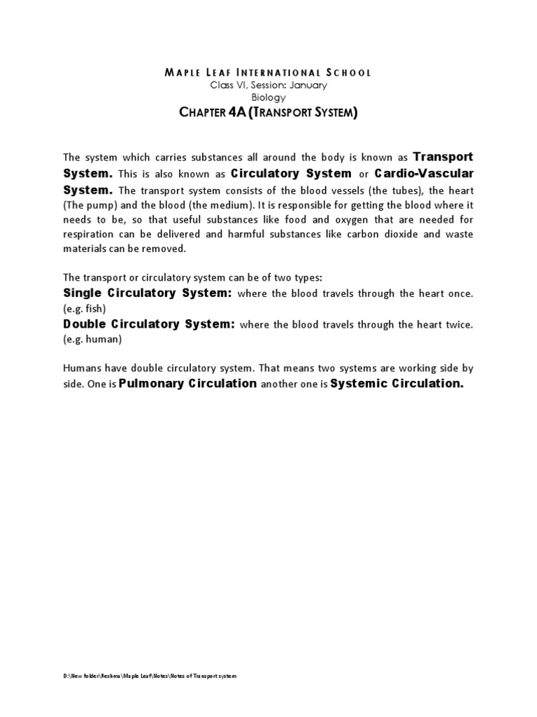 Notes On TRANSPORT SYSTEM | PDF | Artery | Circulatory System