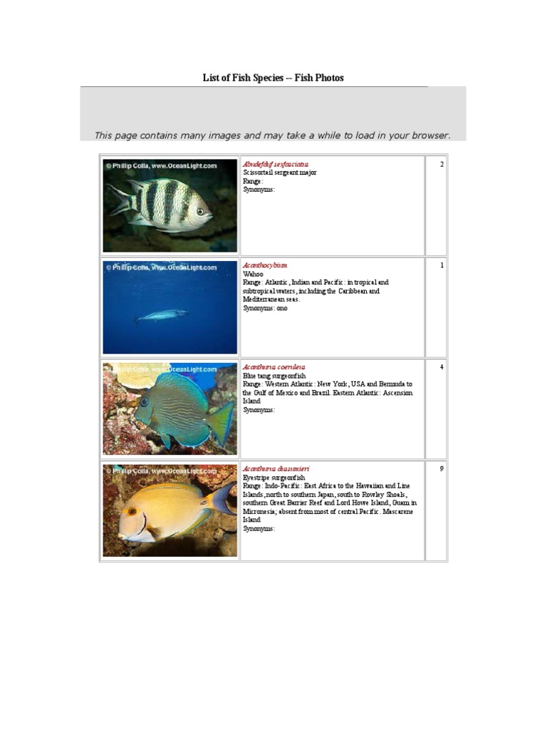 List of Fish Species | Pacific Ocean | Island