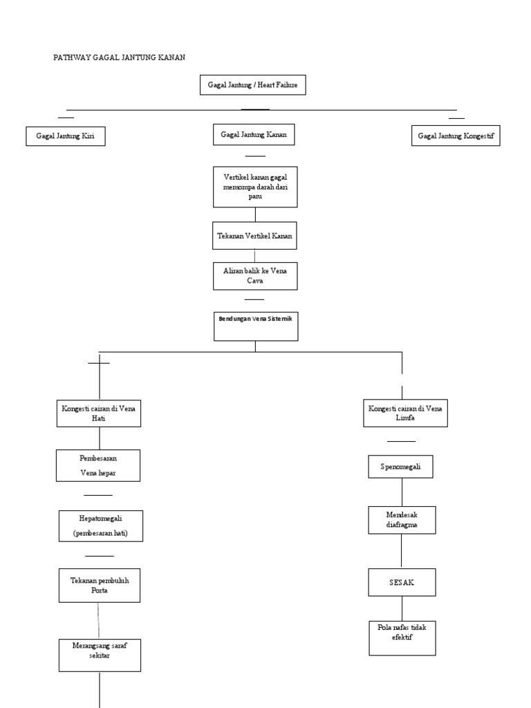 Pathway Gagal Jantung Kanan | PDF