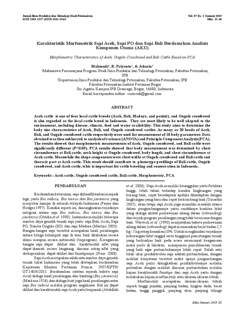 Cattle Morphometric Analysis | PDF | Skeletal System | Musculoskeletal System