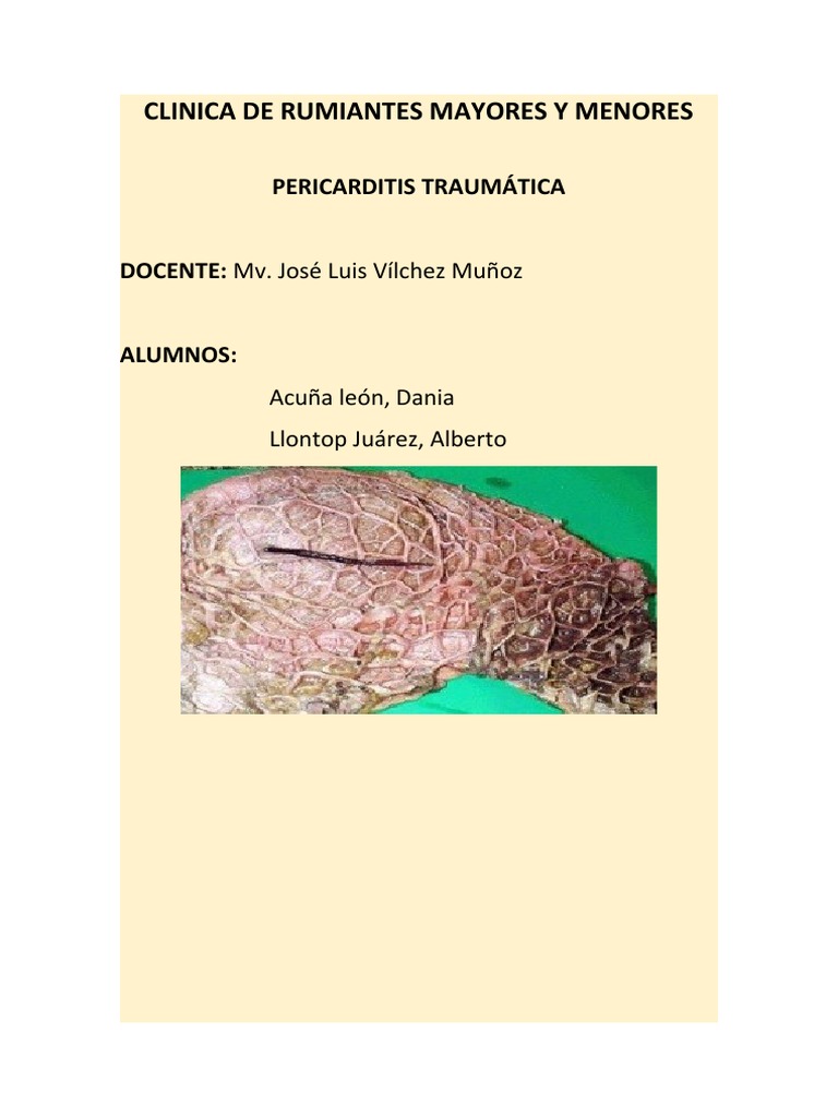 Reticulopericarditis Traumática | PDF | Abdomen | Especialidades Medicas
