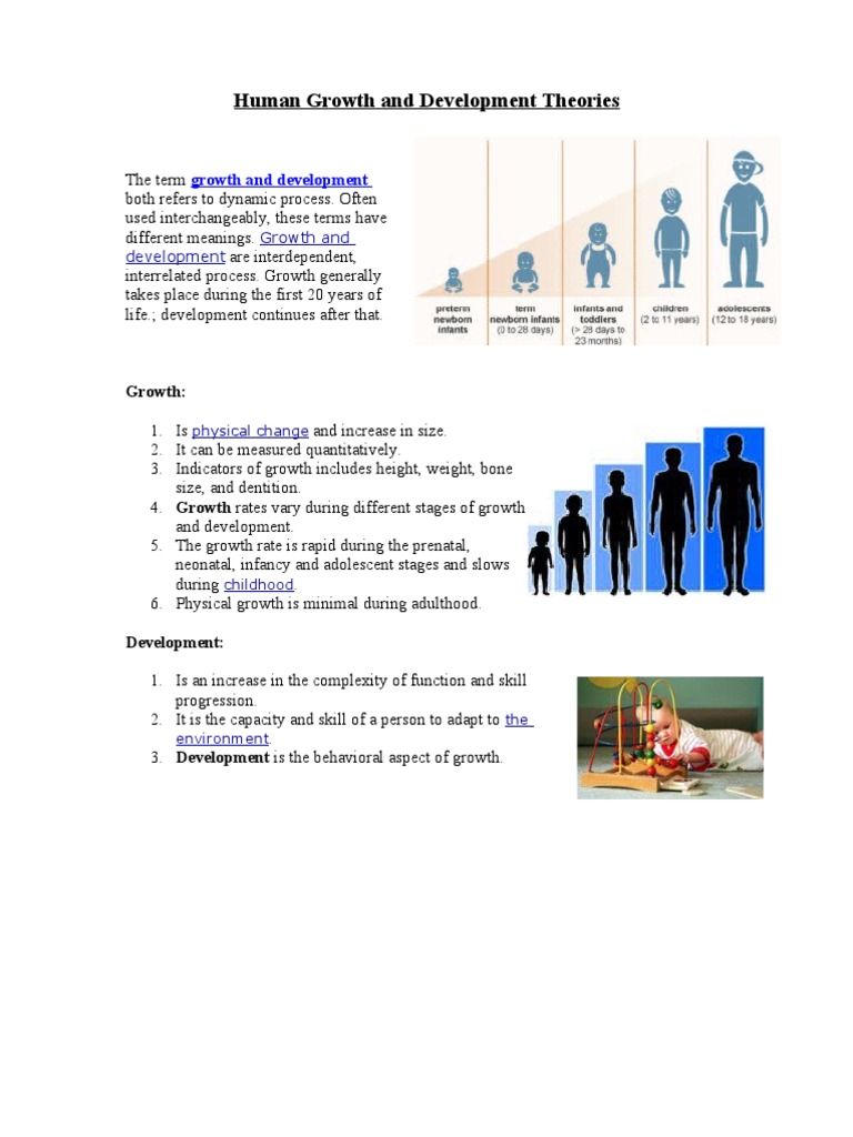 Human Growth and Development Theories | PDF | Adolescence ...