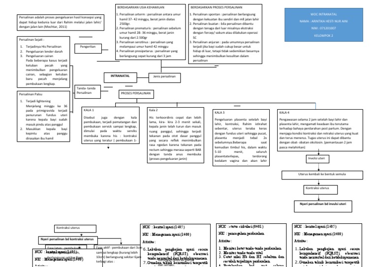 Woc Intranatal KLP.2 Arintika Hesti Nur Aini | PDF