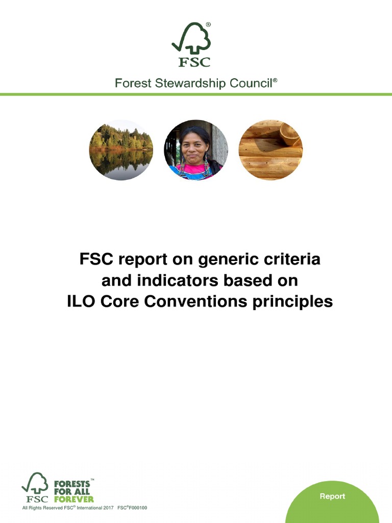 FSC Report On Generic Criteria and Indicators Based On ILO Core ...
