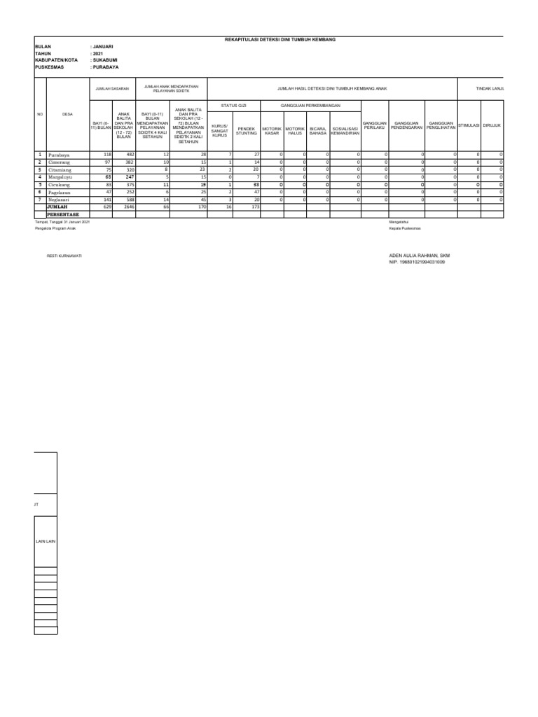 Format Laporan DDTK | PDF