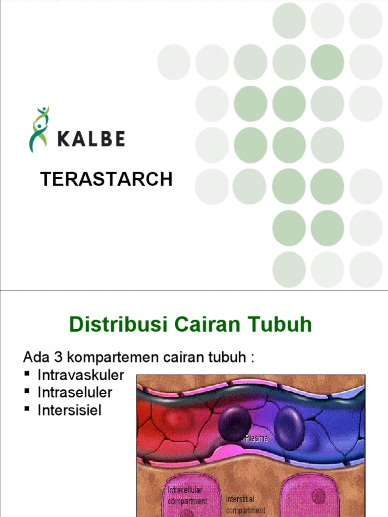 Terastarch Final | PDF