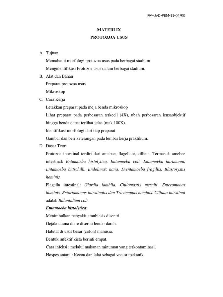 Morfologi Protozoa Usus Manusia | PDF