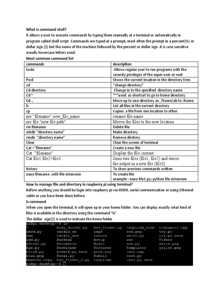 What Is Command Shell? | PDF | Computer File | Directory (Computing)