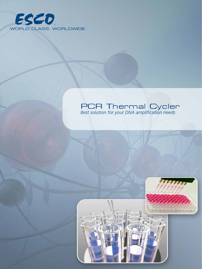 PCR Thermal Cycler: Best Solution For Your DNA Amplification Needs ...