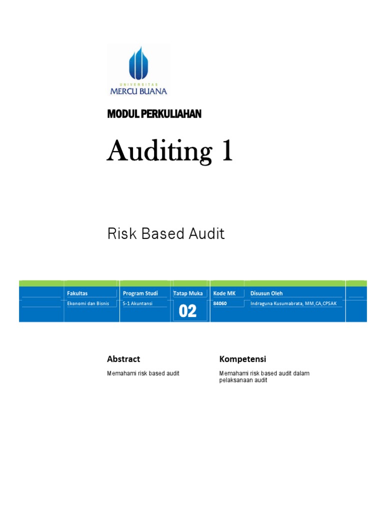 02 - Audit | PDF
