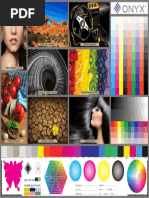 Tangent Screen Visual Field Testing | PDF | Retina | Color