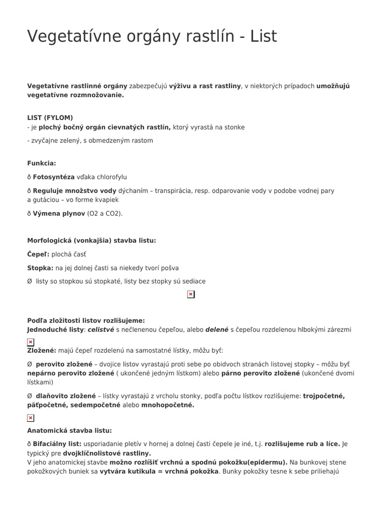 Vegetativne Organy Rastlin List 20210618 123213 | PDF
