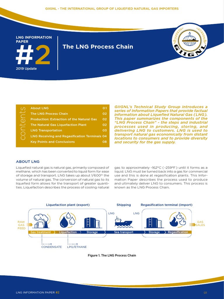 The LNG Process Chain | PDF | Liquefied Natural Gas | Natural Gas