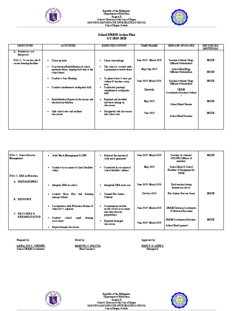 SDRRM Action Plan | PDF | Disaster Risk Reduction | Disaster And Accident