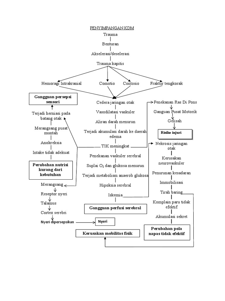 Penyimpangan KDM | PDF