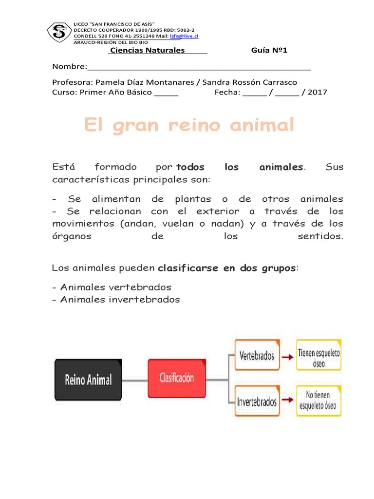 Guía #1 Cs. Los Animales | PDF | Ciencia y matemáticas