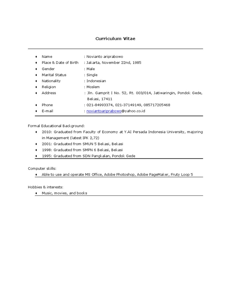 Novianto Ariprabowo's CV Summary | PDF
