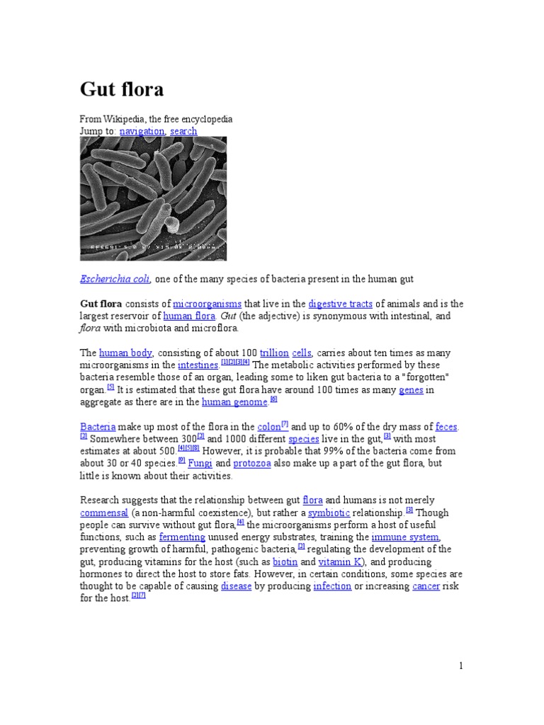 Gut Flora: From Wikipedia, The Free Encyclopedia | PDF