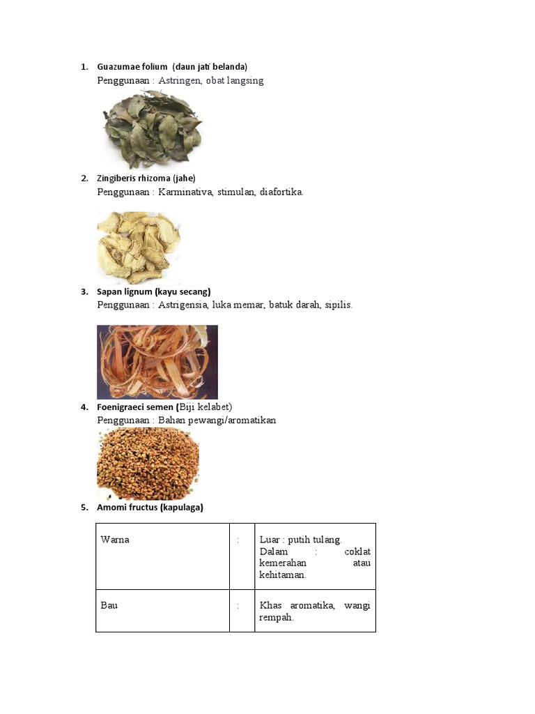 Manfaat dan Karakteristik Folium Guazumae | PDF