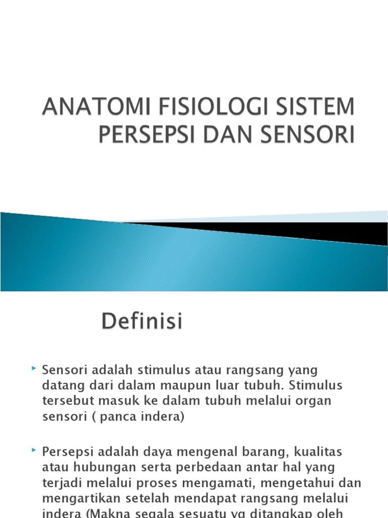 Pengantar Kep - Persepsi Sensori | PDF | Sains & Matematika