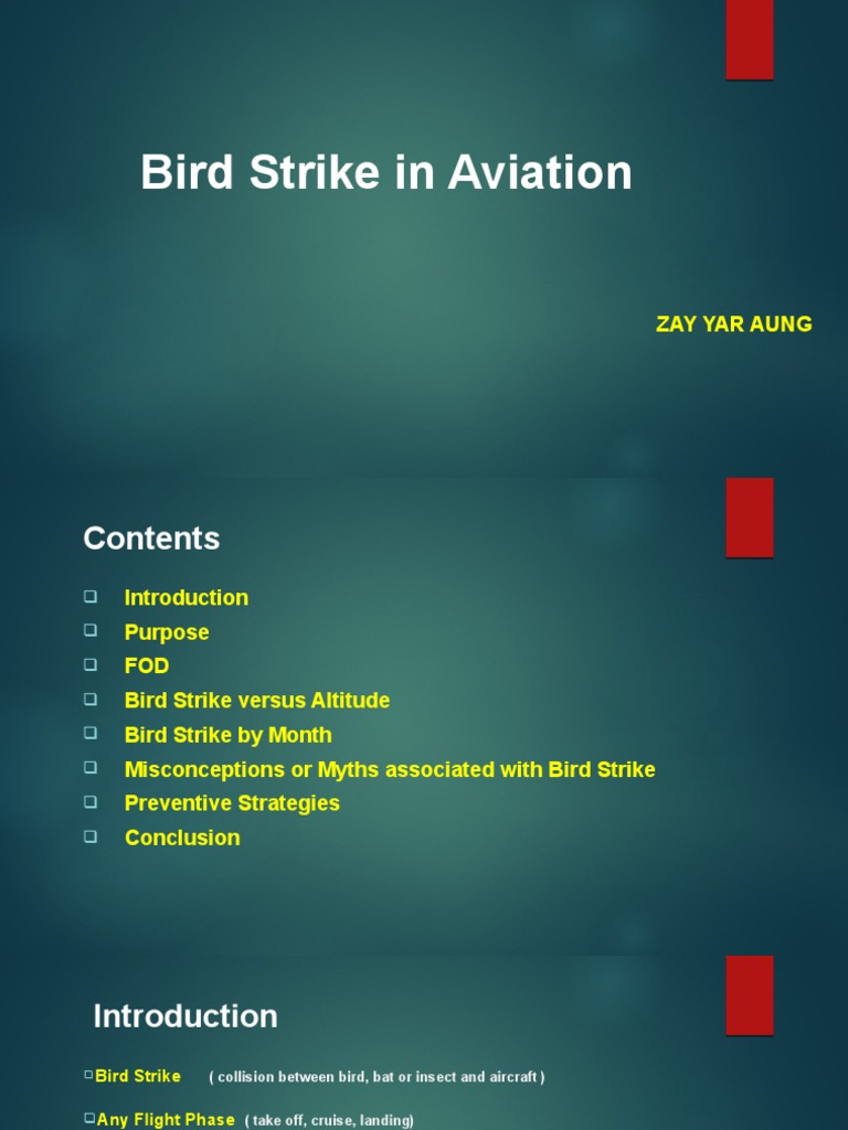 Understanding Bird Strikes in Aviation | PDF | Air Traffic Control ...