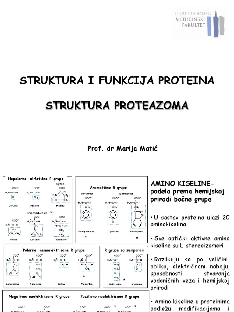 P1 - Struktura Proteina - Proteazom-I Predavanje 11.12.2020. | PDF