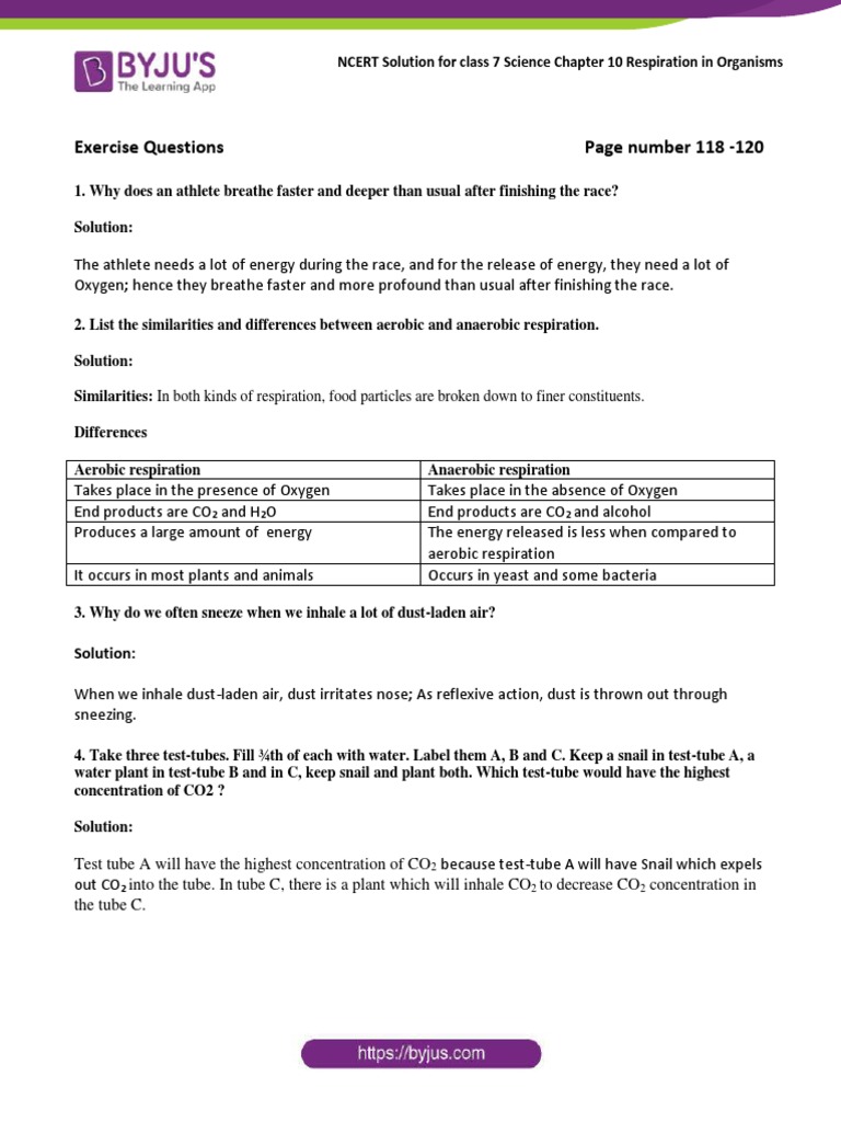 NCERT Solutions For CBSE Class 7 Science Chapter 10 | PDF | Science ...