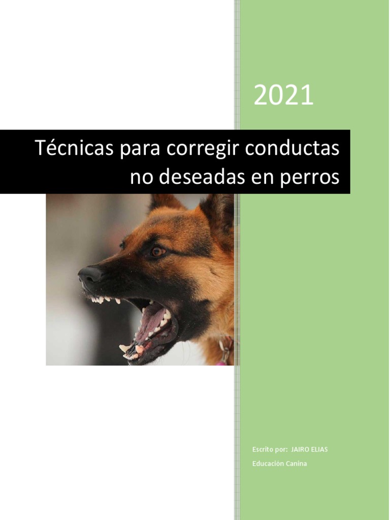 Tecnicas de Adiestramiento | PDF | Trastorno de ansiedad | Comportamiento