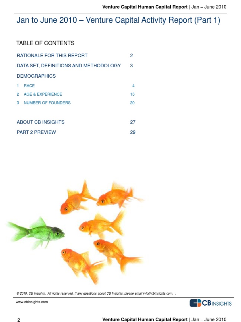 Venture Capital Report | PDF | Race And Ethnicity In The United States ...