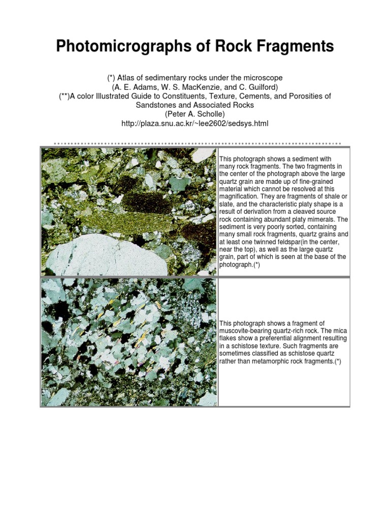 Rock Fragments Atlas of Sedimentary Rocks Under The Microscope | PDF ...