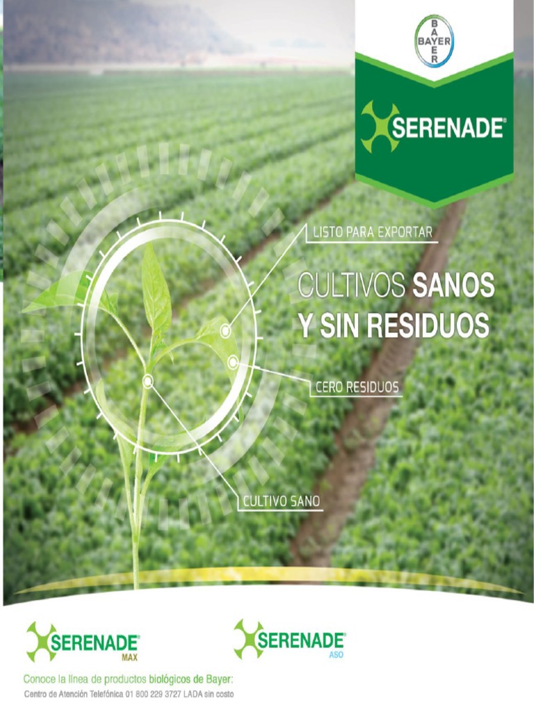 Serenade Max Folleto | PDF