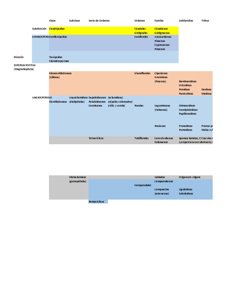 Clasificación Sistematica de Las Espermatofitas | PDF | Plantas | Botánica