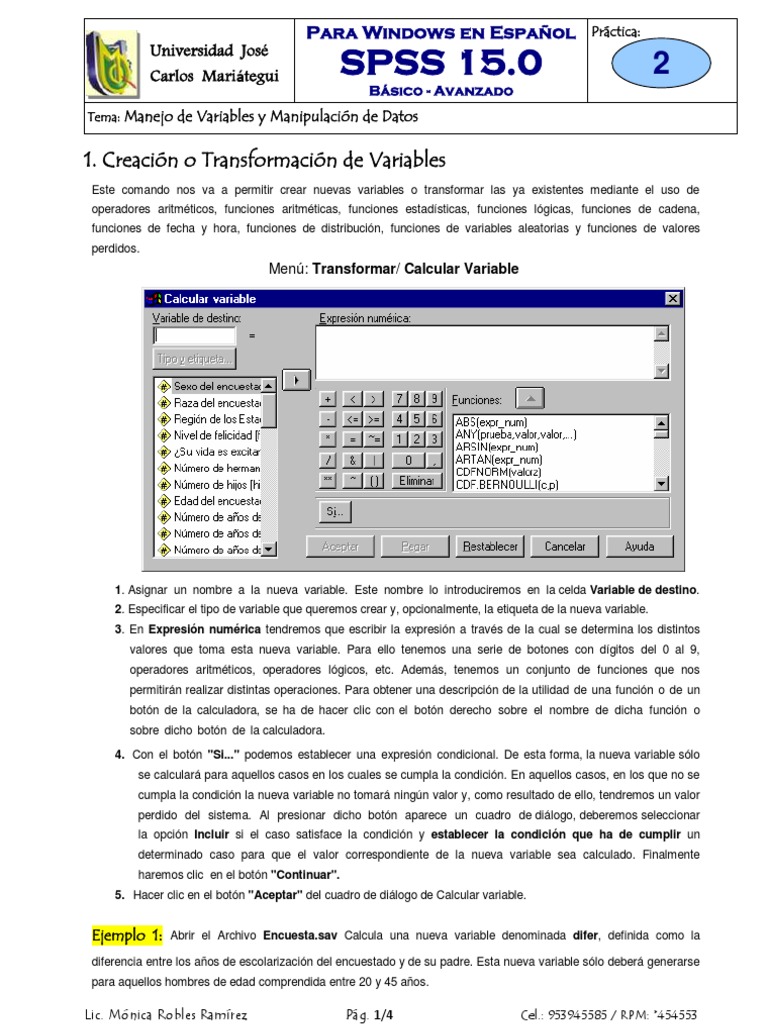 Práctica N°2 SPSS | PDF | Spss | Point and Click