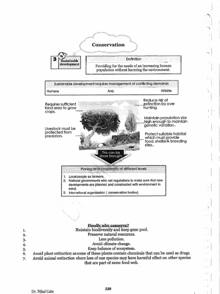 BIO DR - Nihal Gabr Part2 | PDF