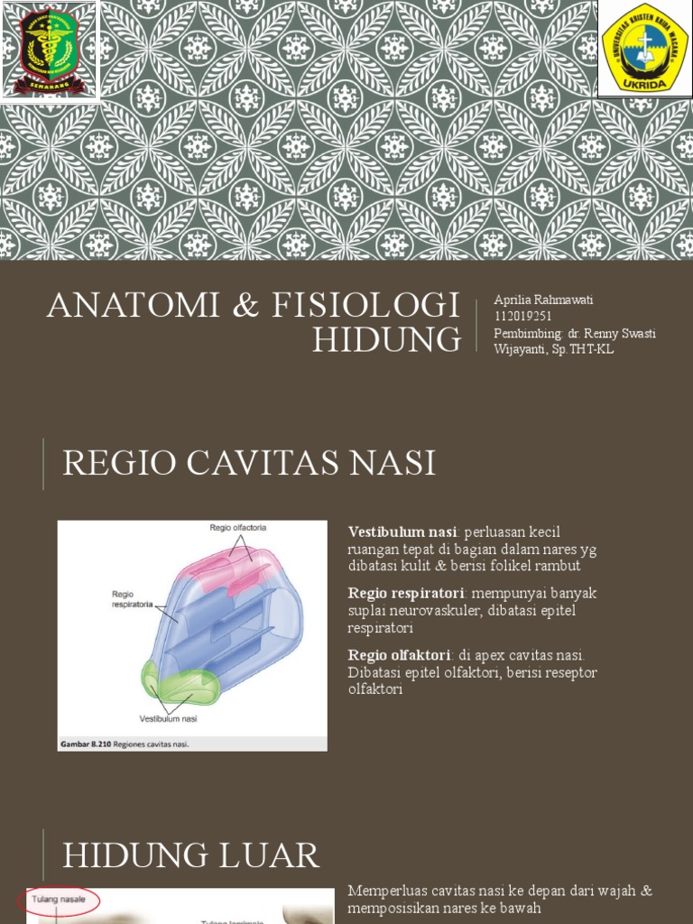 Anatomi-Fisiologi Hidung & Deviasi Septum | PDF