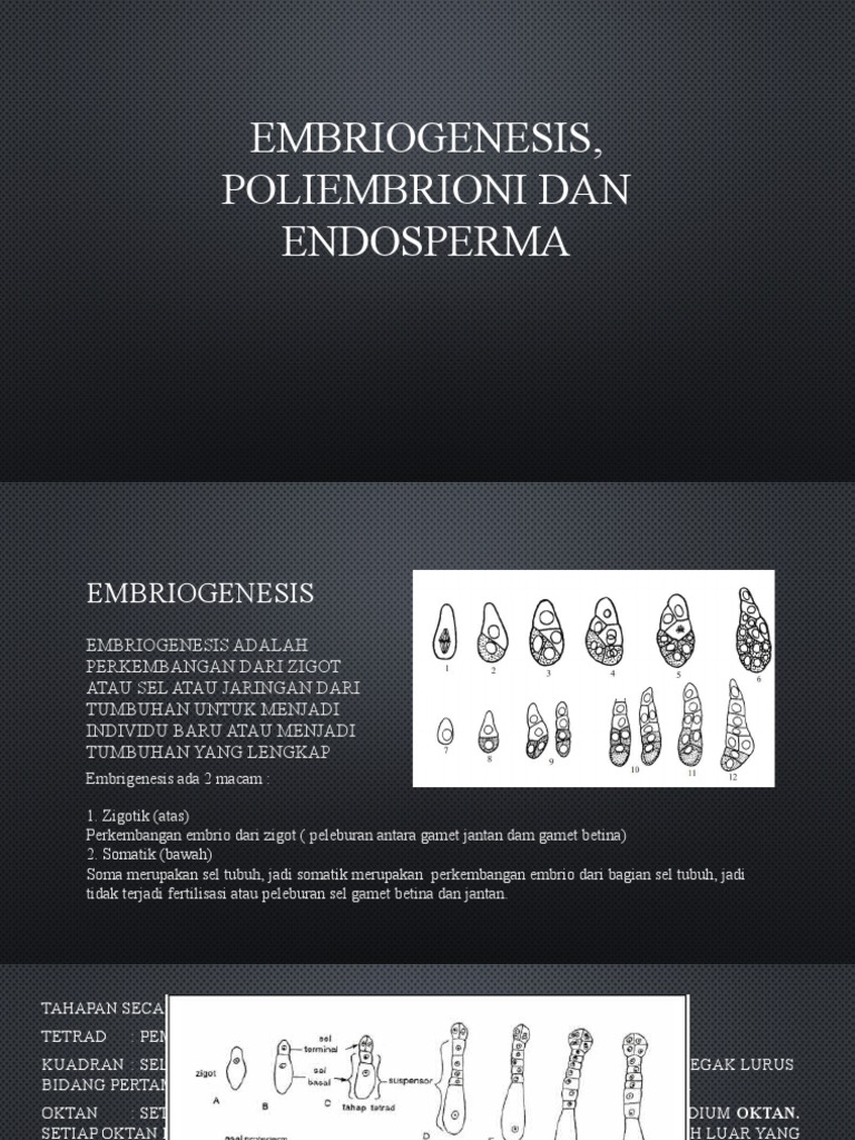 Proses dan Tipe Embriogenesis Tumbuhan | PDF