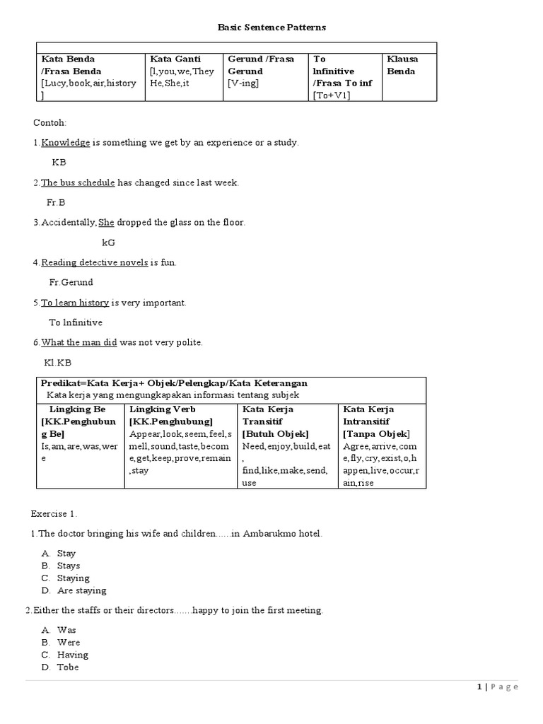Basic Sentence Patterns | PDF | Red Blood Cell | Blood