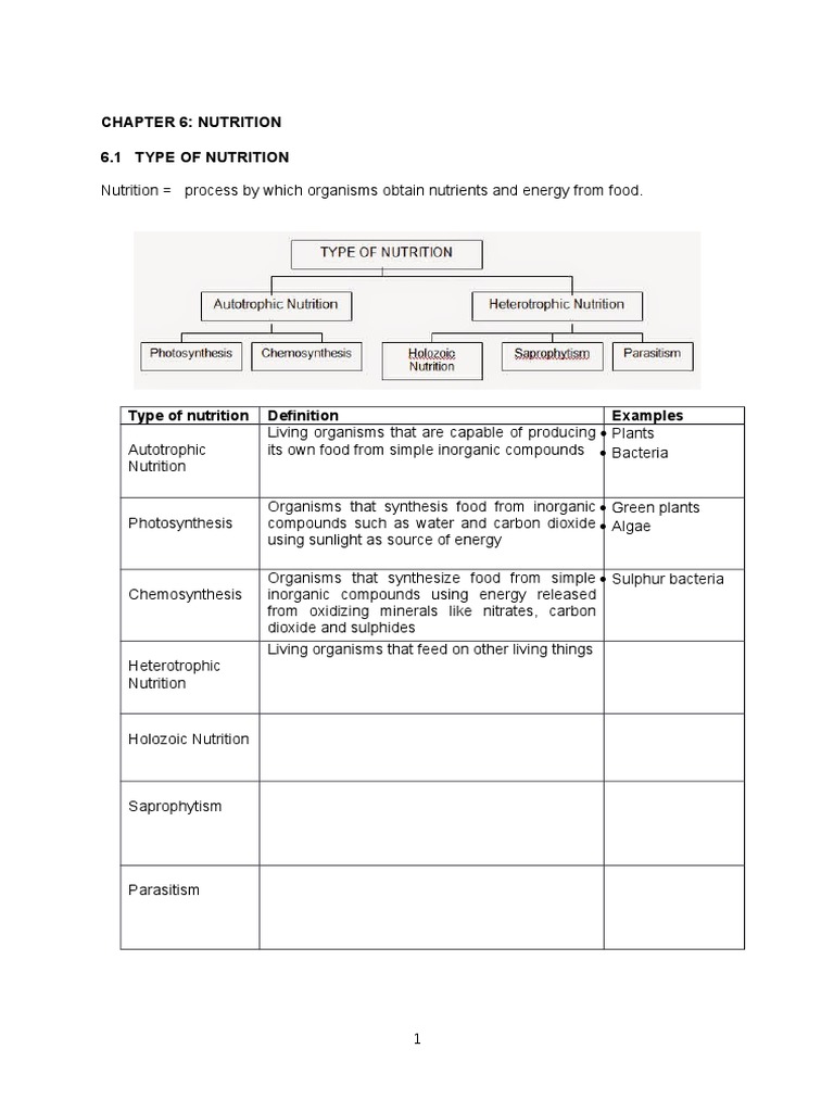 Types of Nutrition and Balanced Diet Guide | PDF | Malnutrition | Nutrition