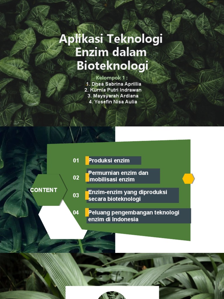 Kelompok 1 - Materi Teknologi Enzim | PDF