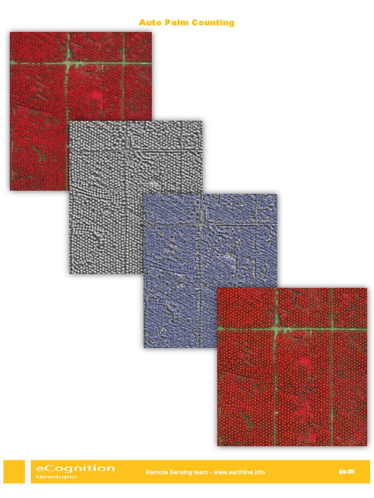 ECognition Auto Palm - GIS - Tree Counting | PDF