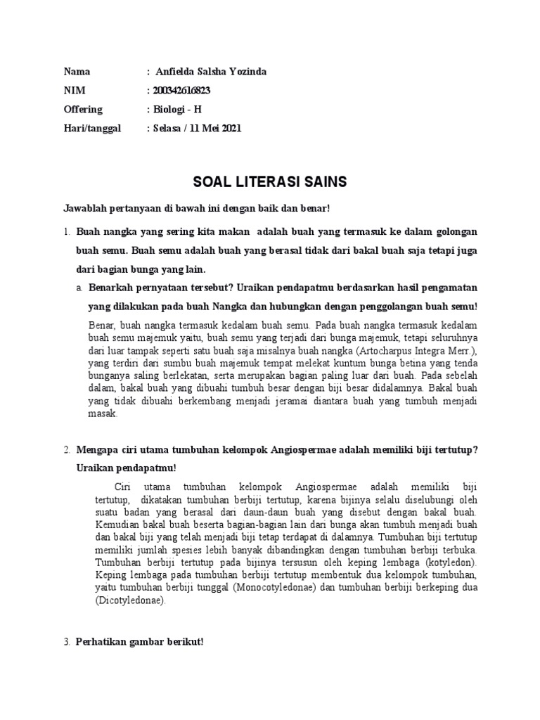 Pemahaman Buah Semu dan Angiospermae | PDF