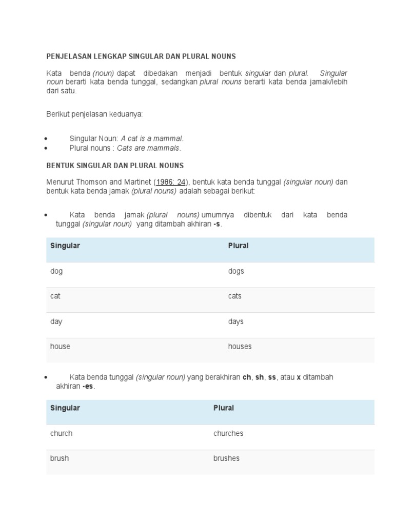 Penjelasan Lengkap Singular Dan Plural Nouns Pdf